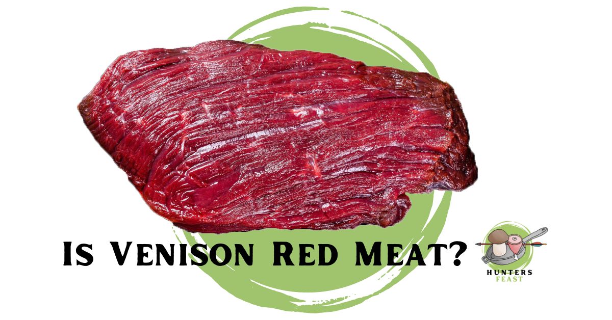 Is Venison Red Meat? (Explained)